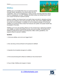 Natural Disasters Worksheets | The Science - 15 Worksheets.com