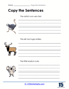 Copy the Sentence Worksheets - 15 Worksheets.com
