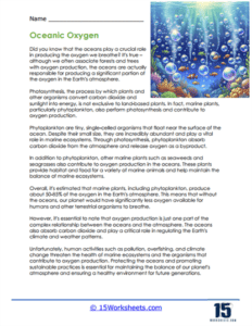 Oceans Worksheets - 15 Worksheets.com