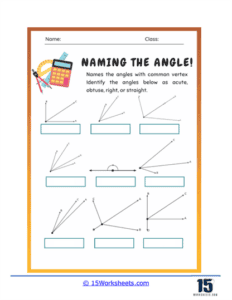 Naming Angles Worksheets - 15 Worksheets.com