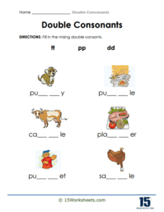 Double Consonants Worksheets - 15 Worksheets.com