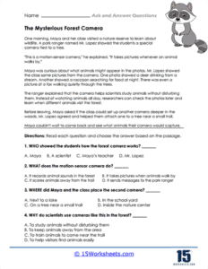 Ask and Answer Questions Worksheets - 15 Worksheets.com